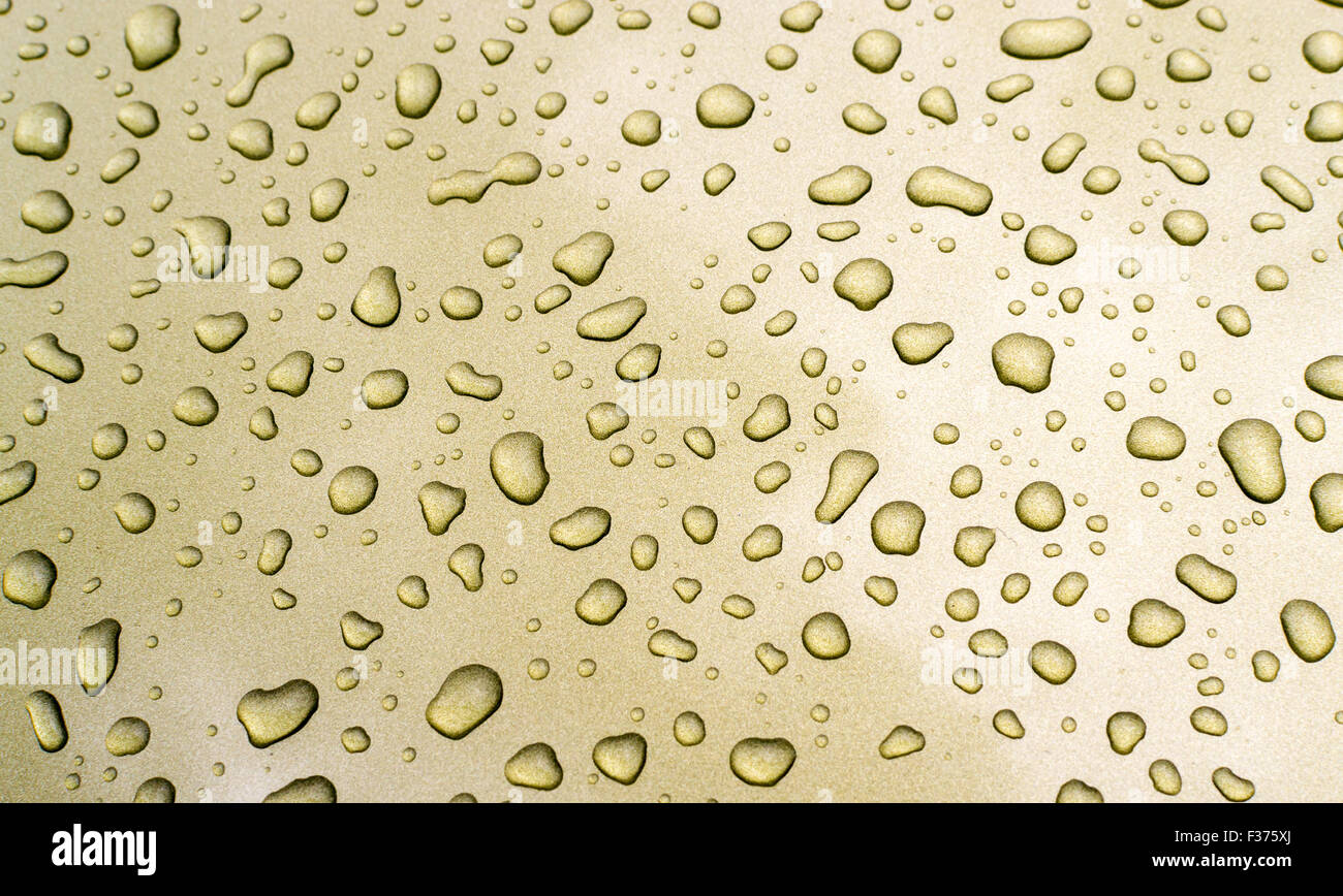 Rain water droplets form drop patterns on gold metal painted surface ...
