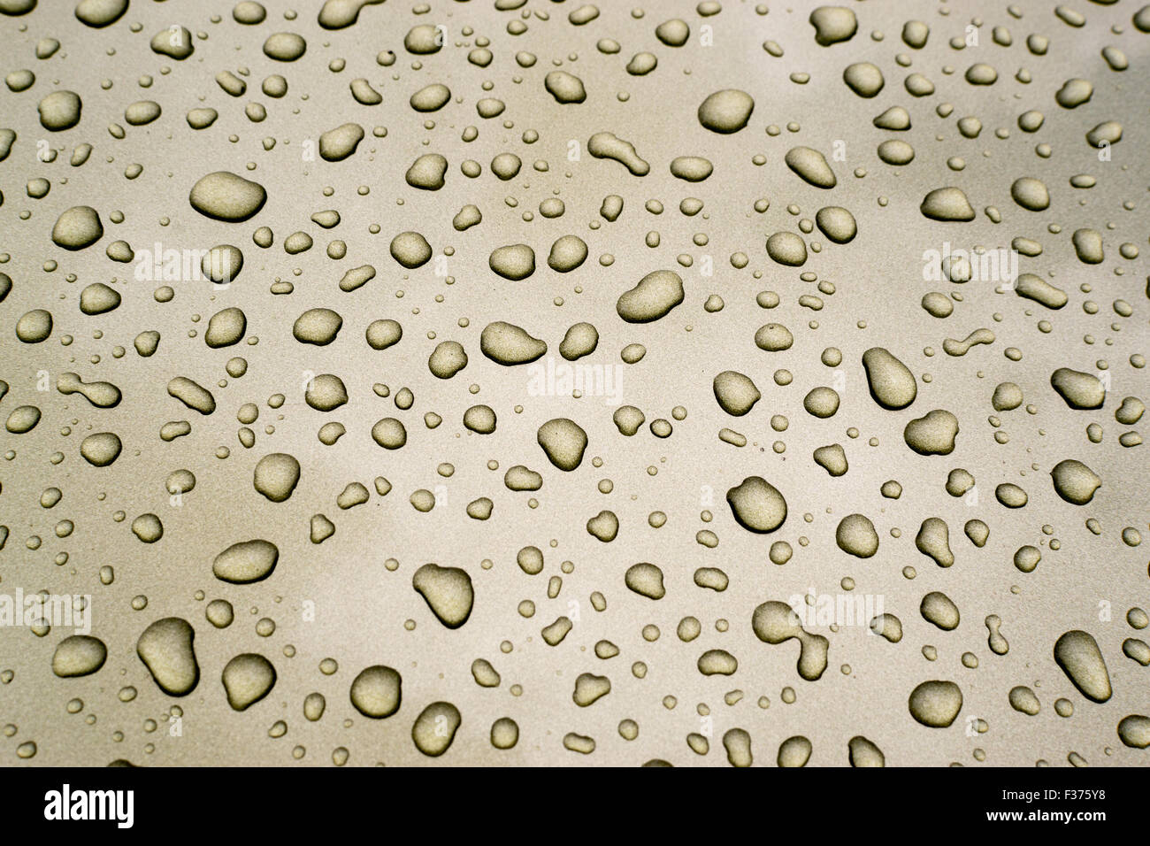 Rain water droplets form drop patterns on gold metal painted surface ...