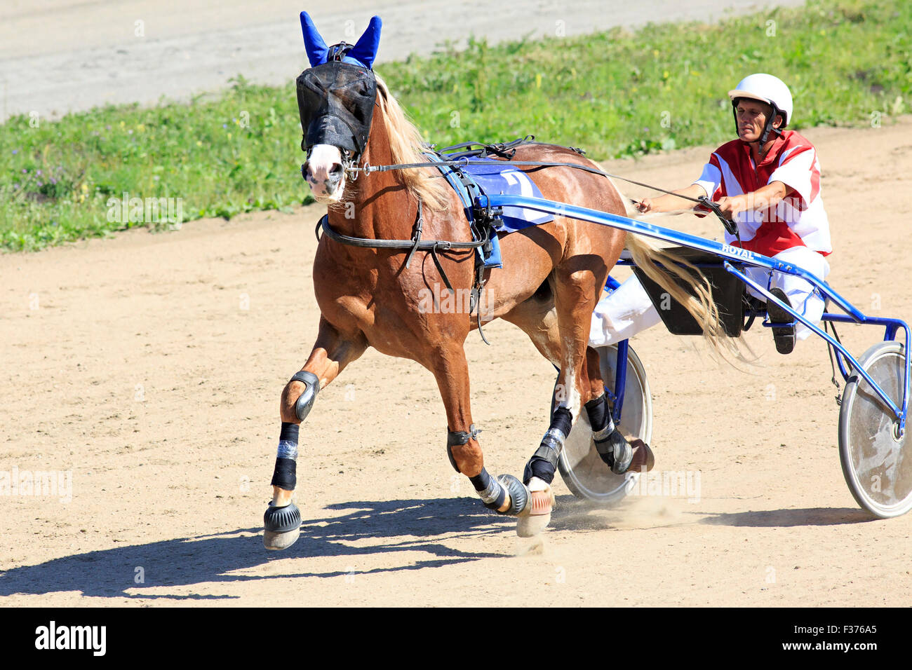 Harness trotting race racing driver sulky hi-res stock photography and ...
