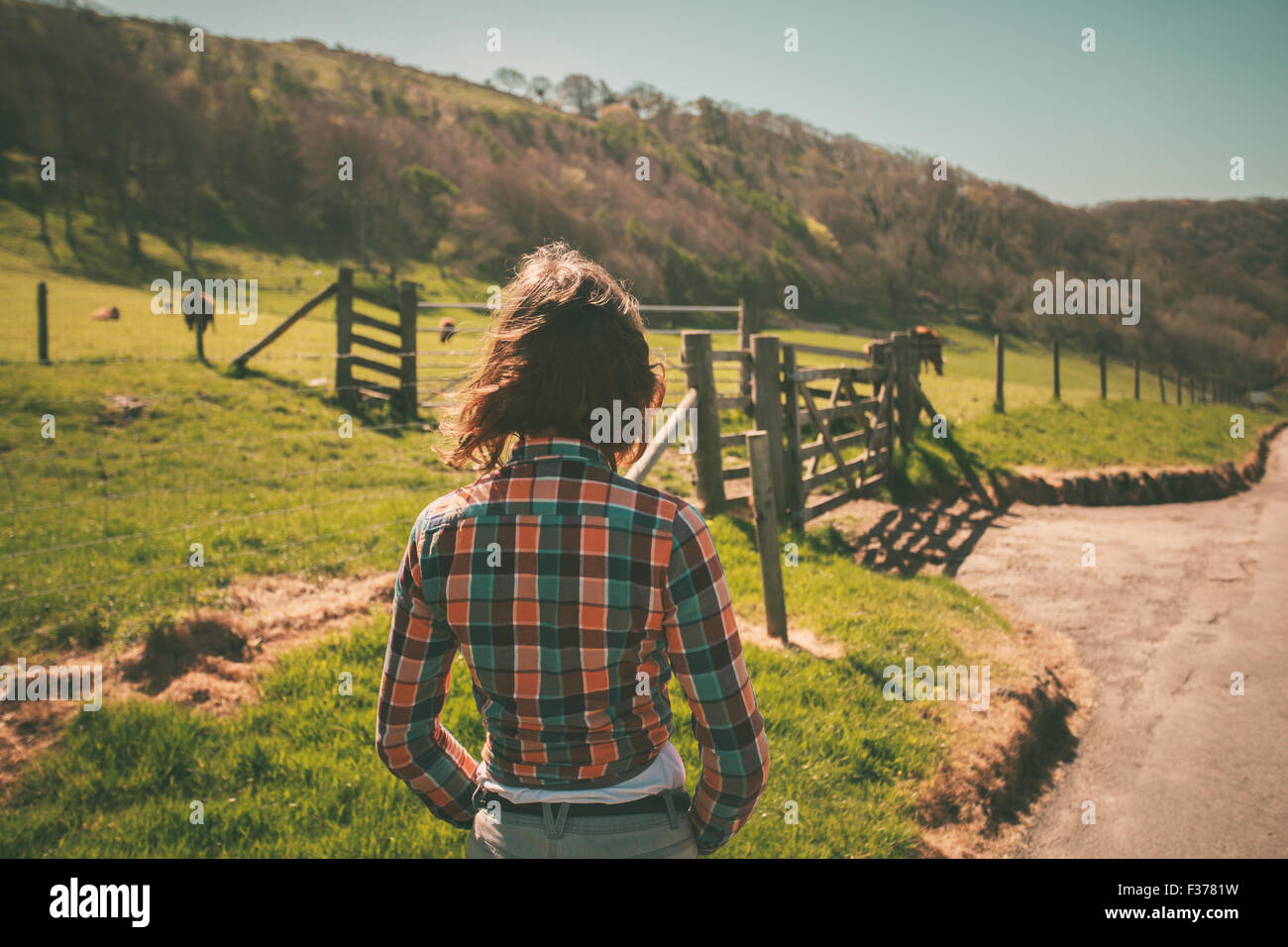 Young woman is walking around a ranch with cattle in the distance Stock ...