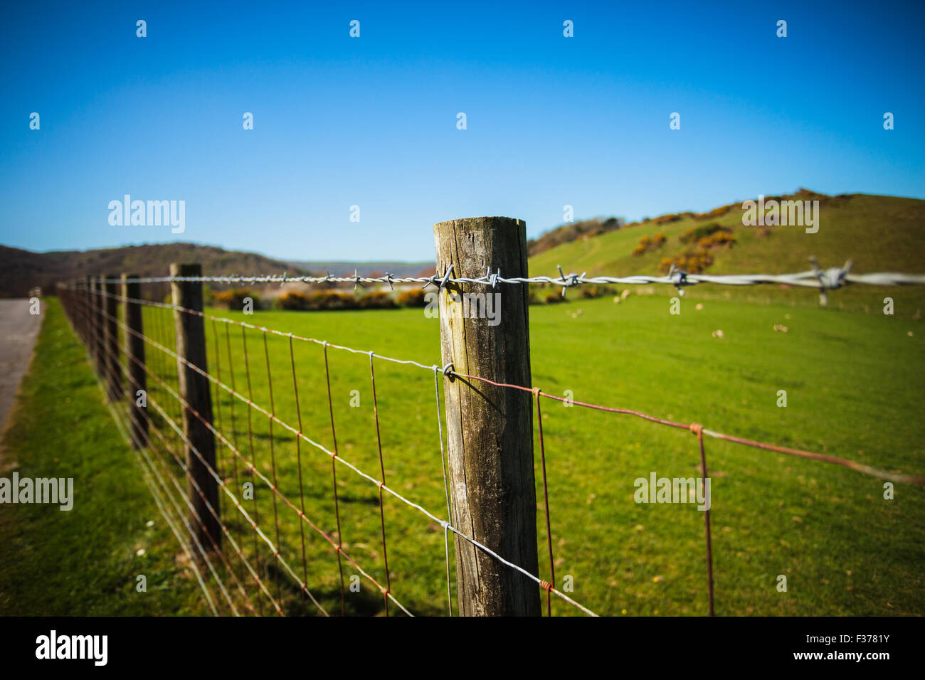 Barb wire, wooden fence hi-res stock photography and images - Alamy