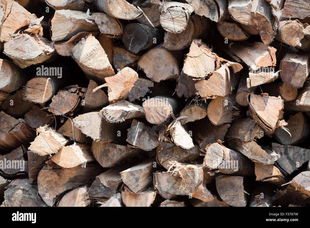 Woodpiles pile piles wood stacked hi-res stock photography and images ...