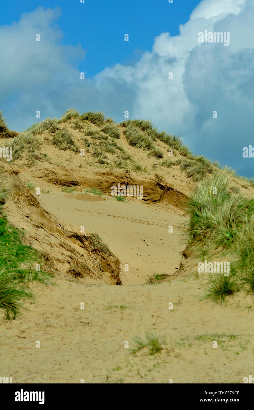 Braunton burrows hi-res stock photography and images - Alamy