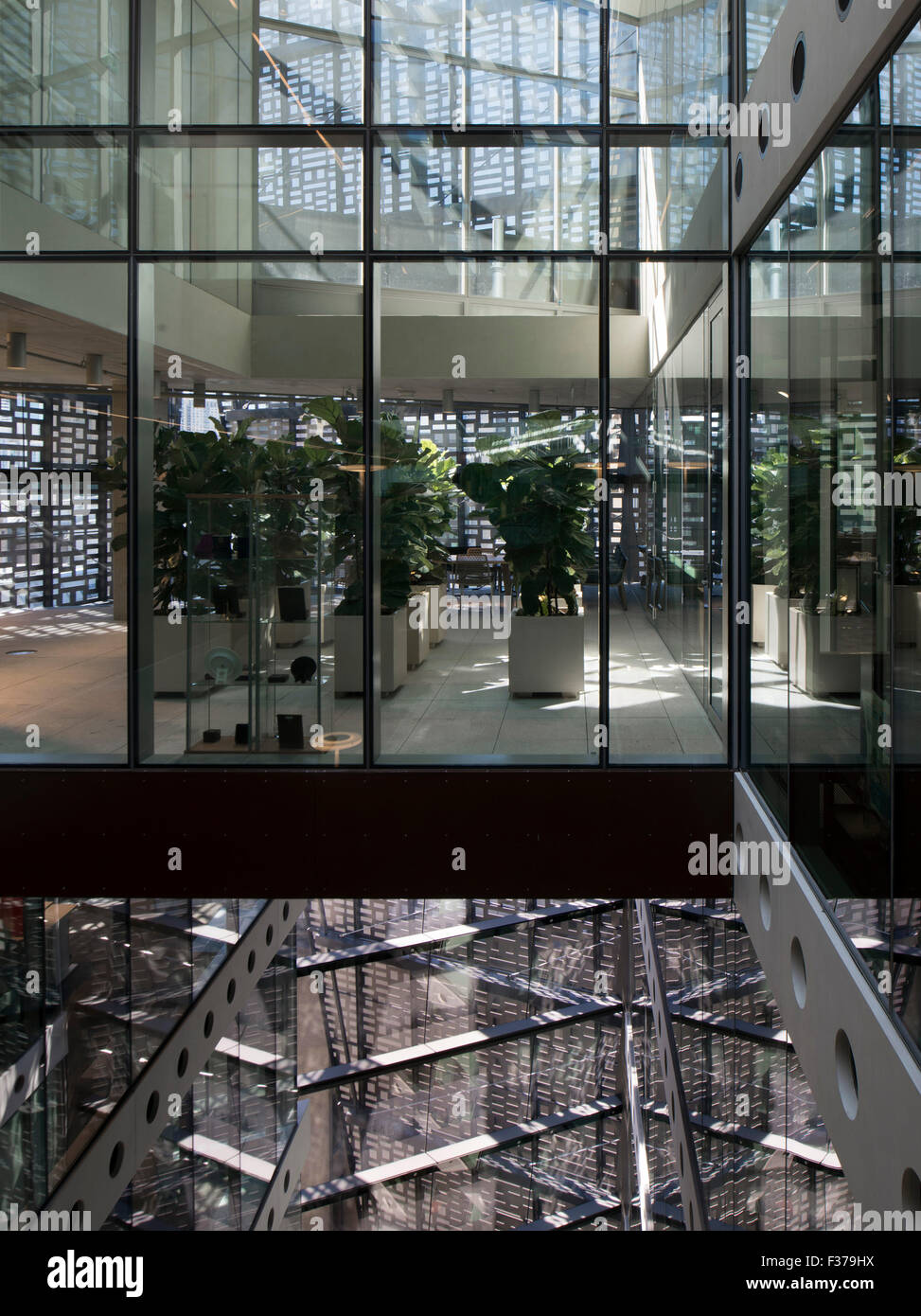 Atrium and indoor garden. Faculty of Engineering + Information ...