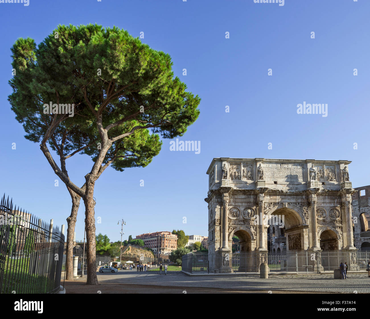 Tree rome hi-res stock photography and images - Alamy
