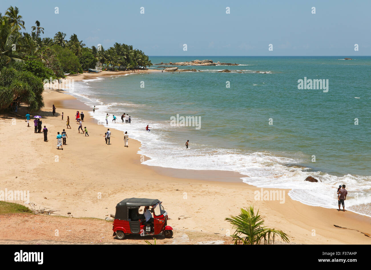 Beach lined with palm trees, Beruwela, Western Province, Indian Ocean ...