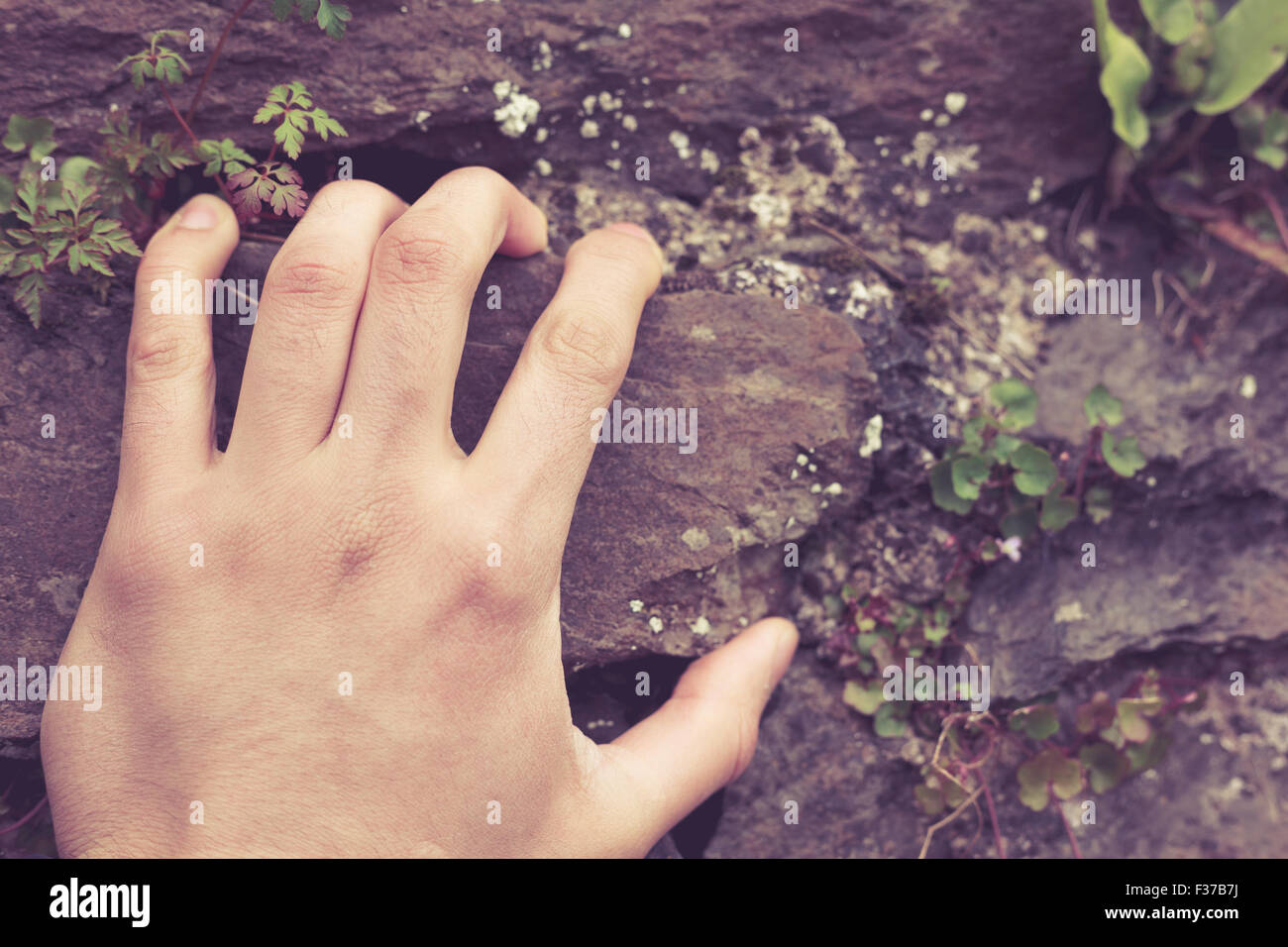 A man's hand is grabbing onto a rock Stock Photo - Alamy
