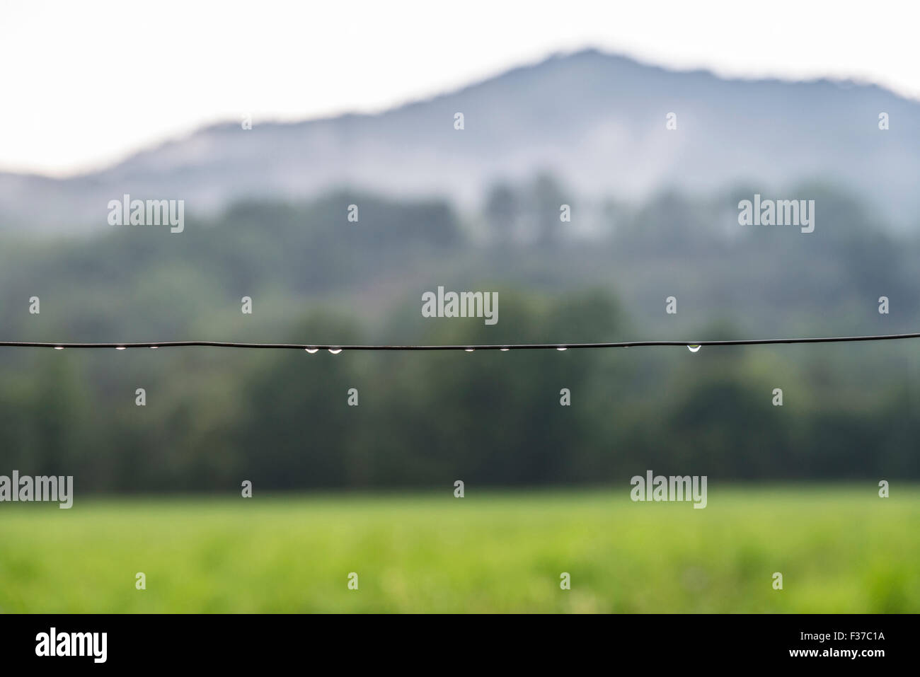 Raindrops sliding down a wire in the mountains Stock Photo - Alamy
