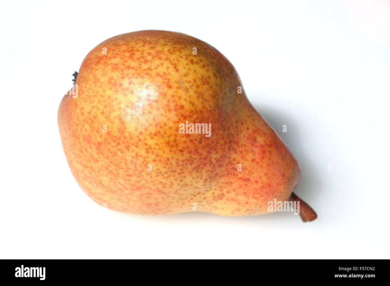 Birne Pyrus Communis Birnenbaum Birnen High Resolution Stock ...
