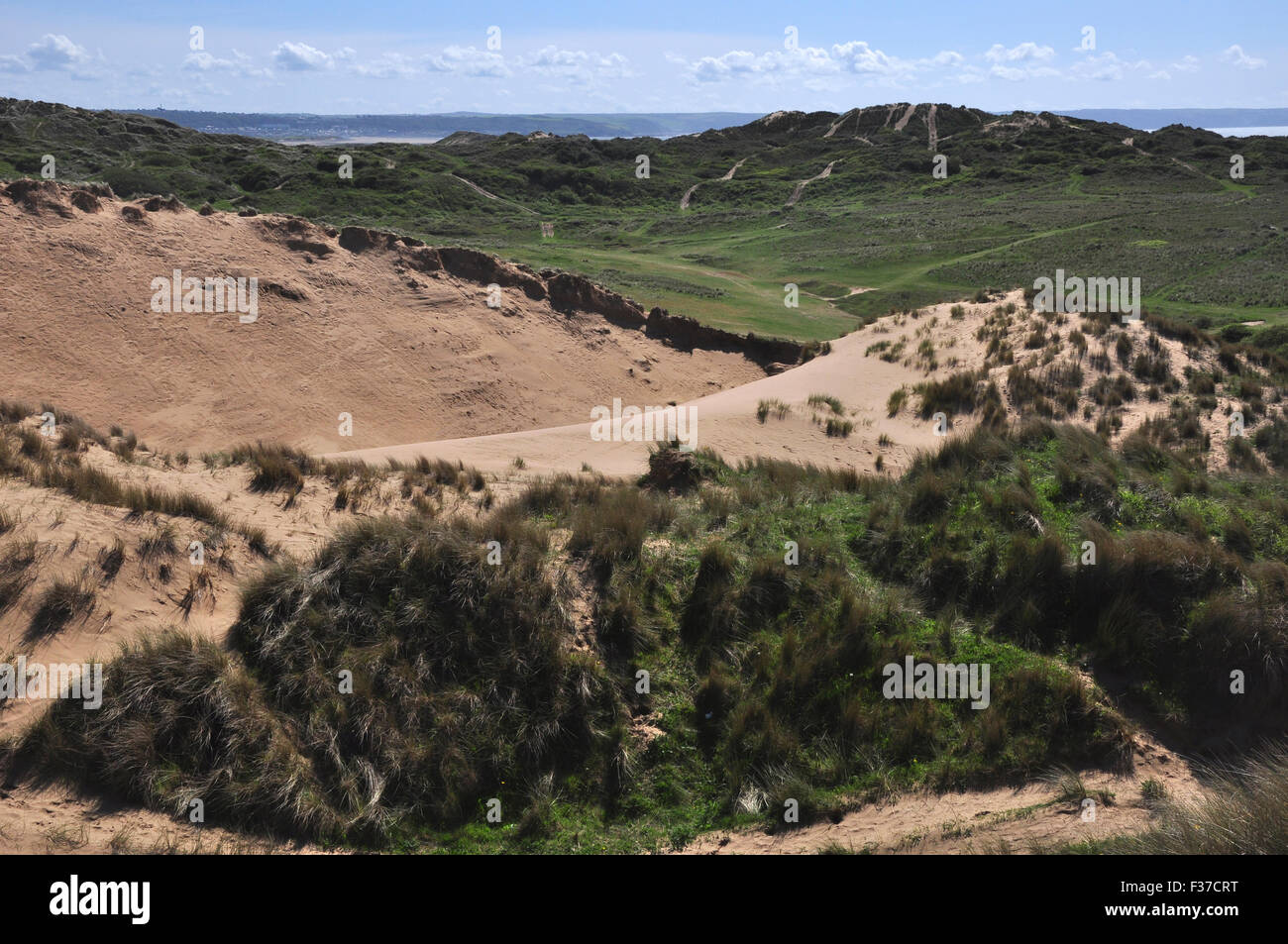 A view of Braunton Burrows nature reserve sand dune system UK Stock ...