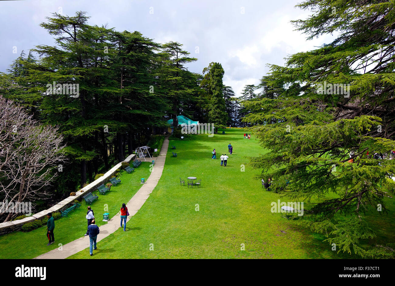 Chail Palace, Himachal Pradesh, Hills, Mountains, Mountainside Stock ...