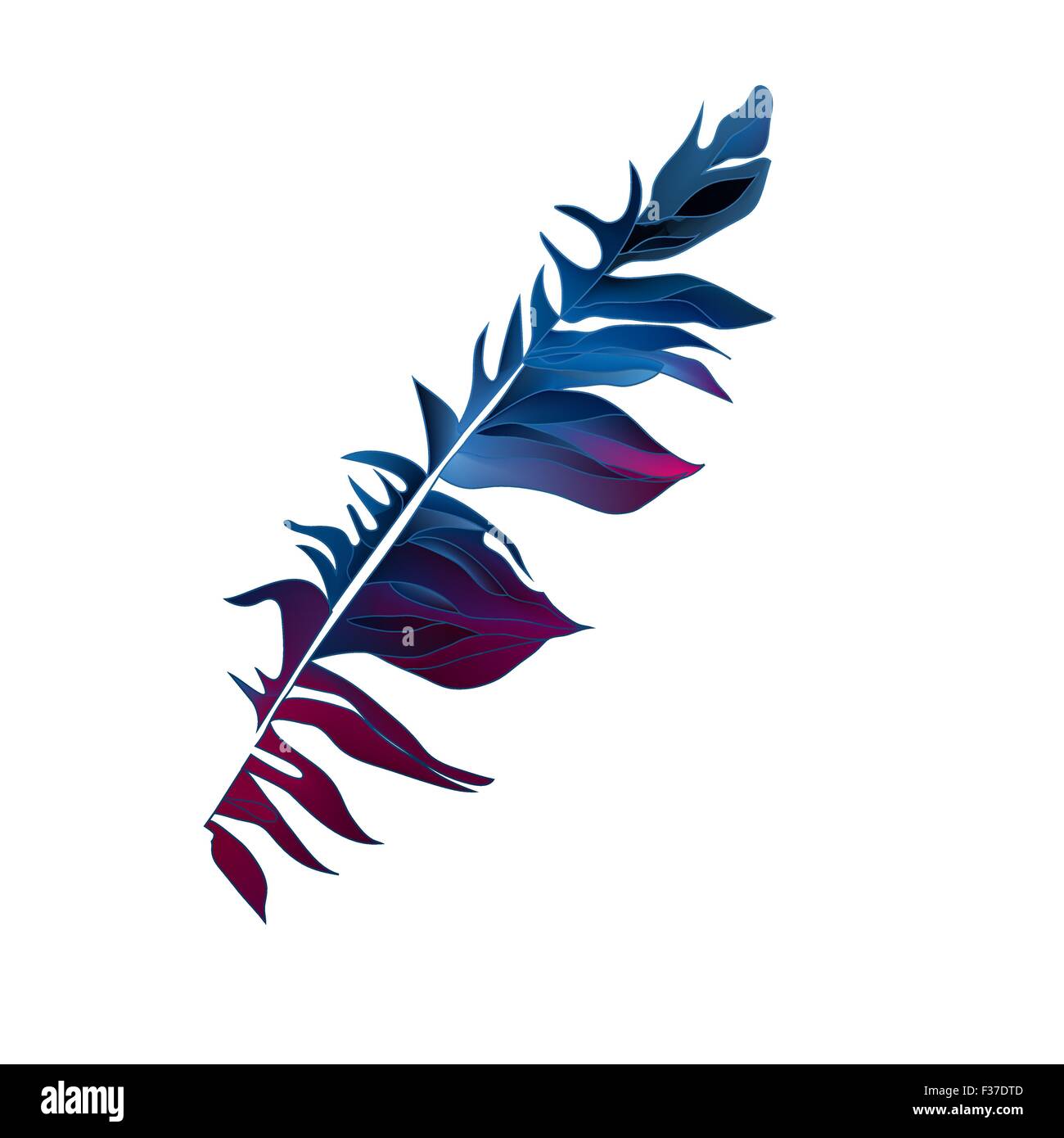 Feather embellishment Stock Vector Images - Alamy