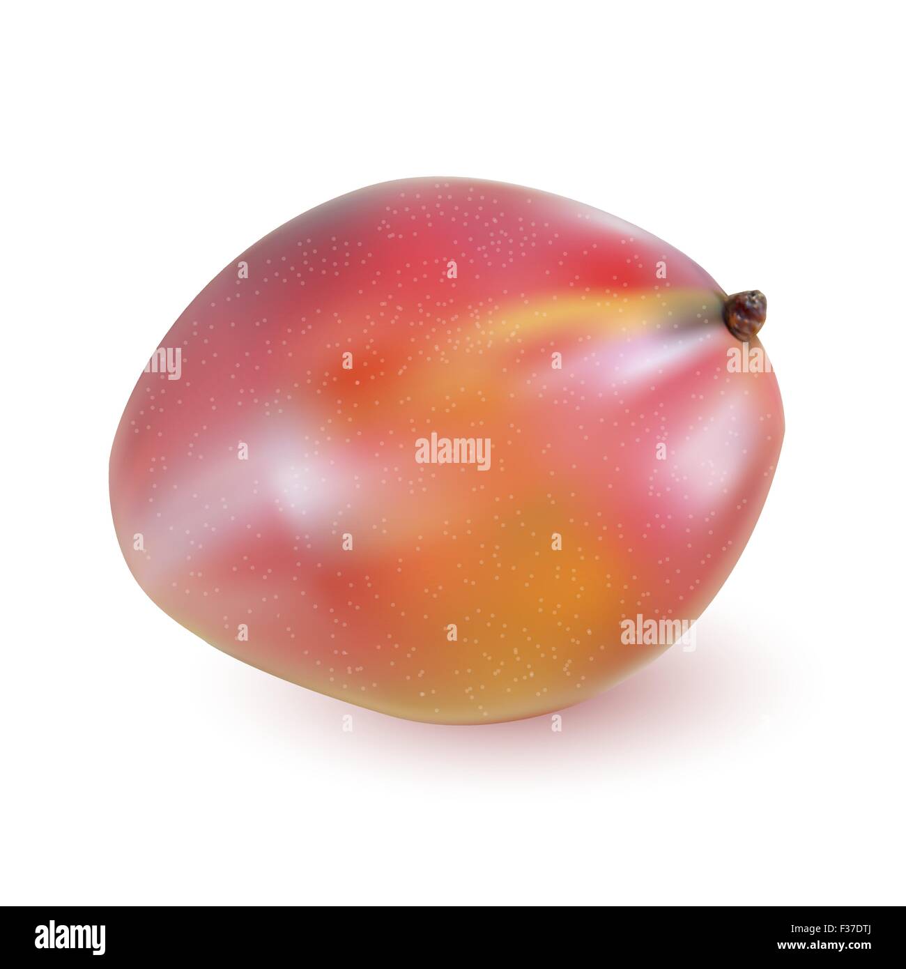 Ripe mango tree Stock Vector Images - Alamy