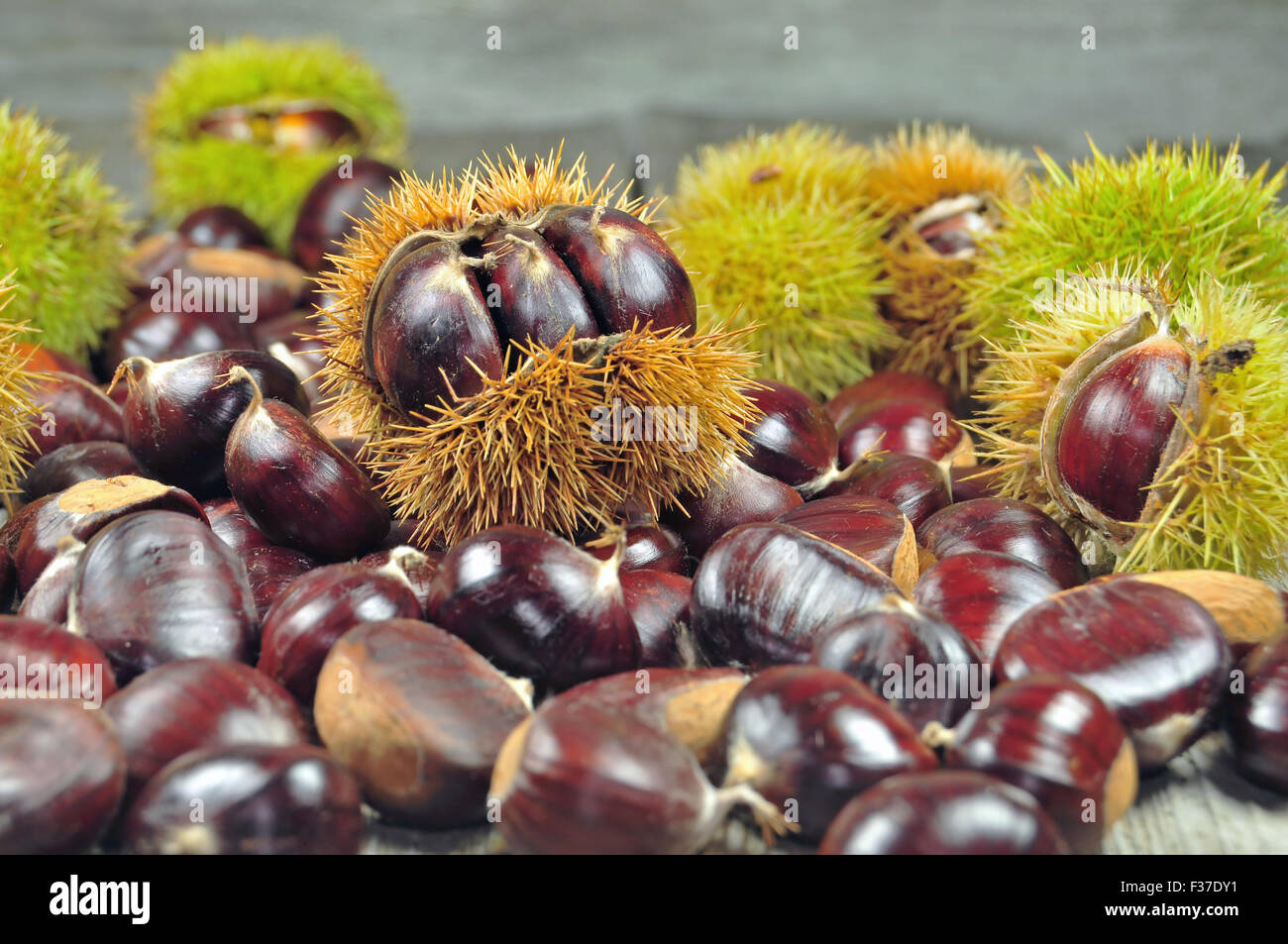 Seed nuts hi-res stock photography and images - Alamy