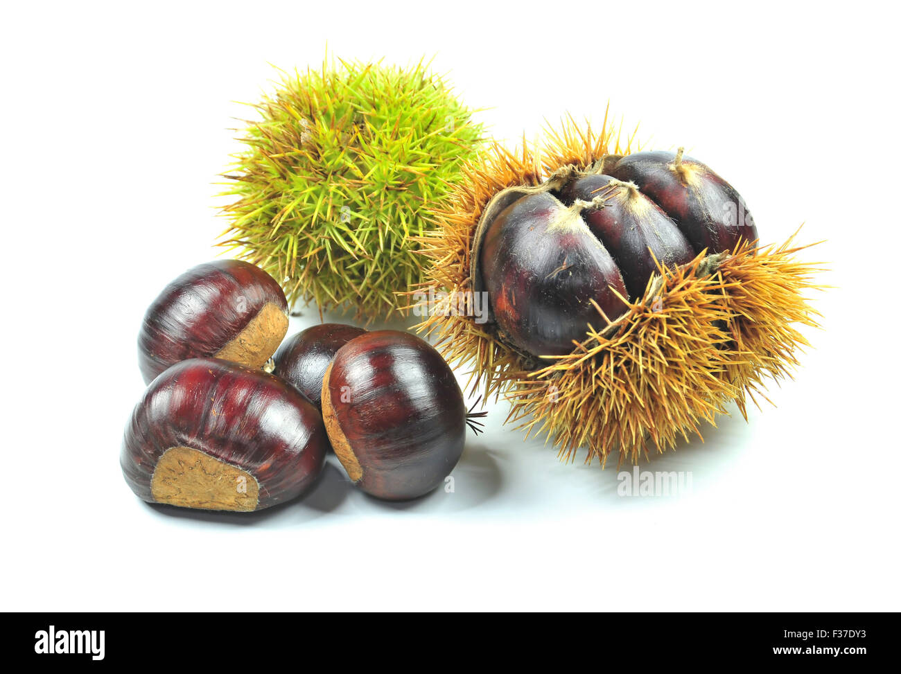 Close up photo seasonal Cut Out Stock Images & Pictures - Alamy