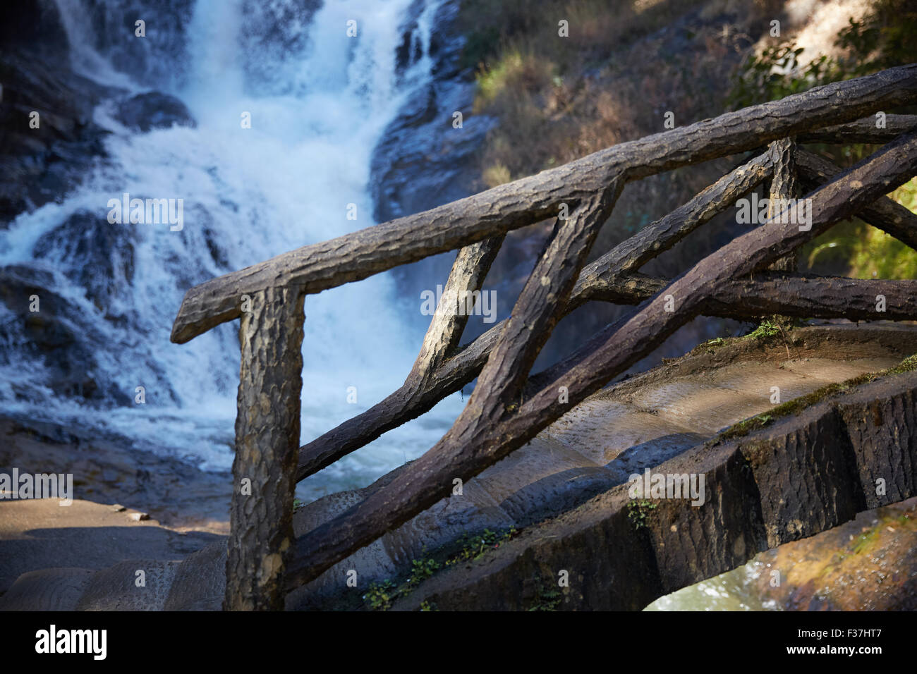 bridge of logs across a stream in a forest in Vietnam Stock Photo - Alamy