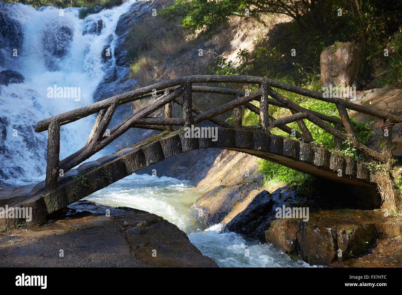bridge of logs across a stream in a forest in Vietnam Stock Photo - Alamy