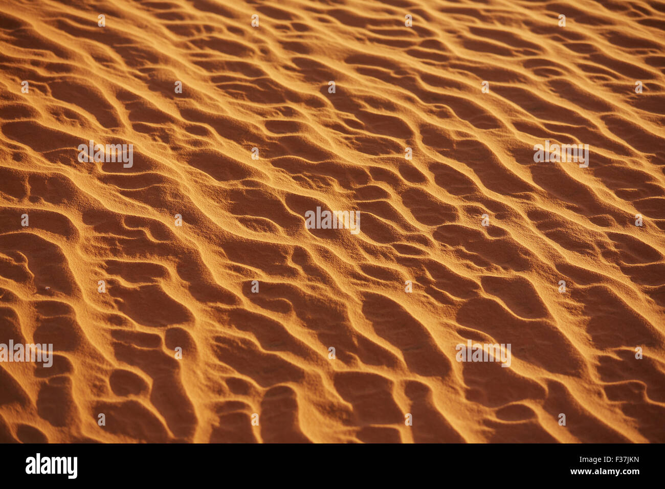 texture of sand in the desert from the winds Stock Photo - Alamy