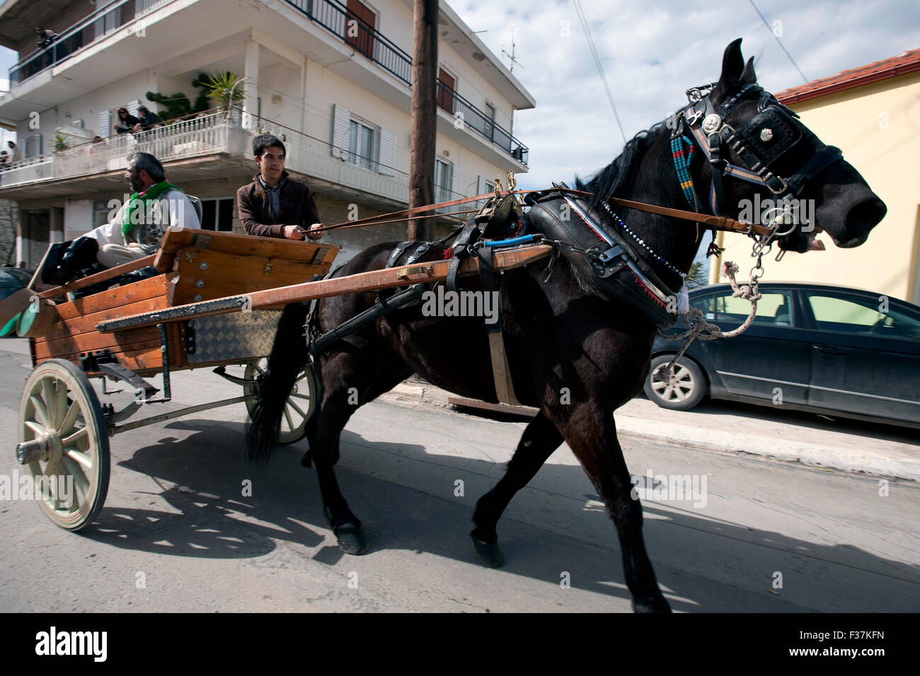 A carthorse carries bonbonnieres and transfers vlachs to the shepherd ...