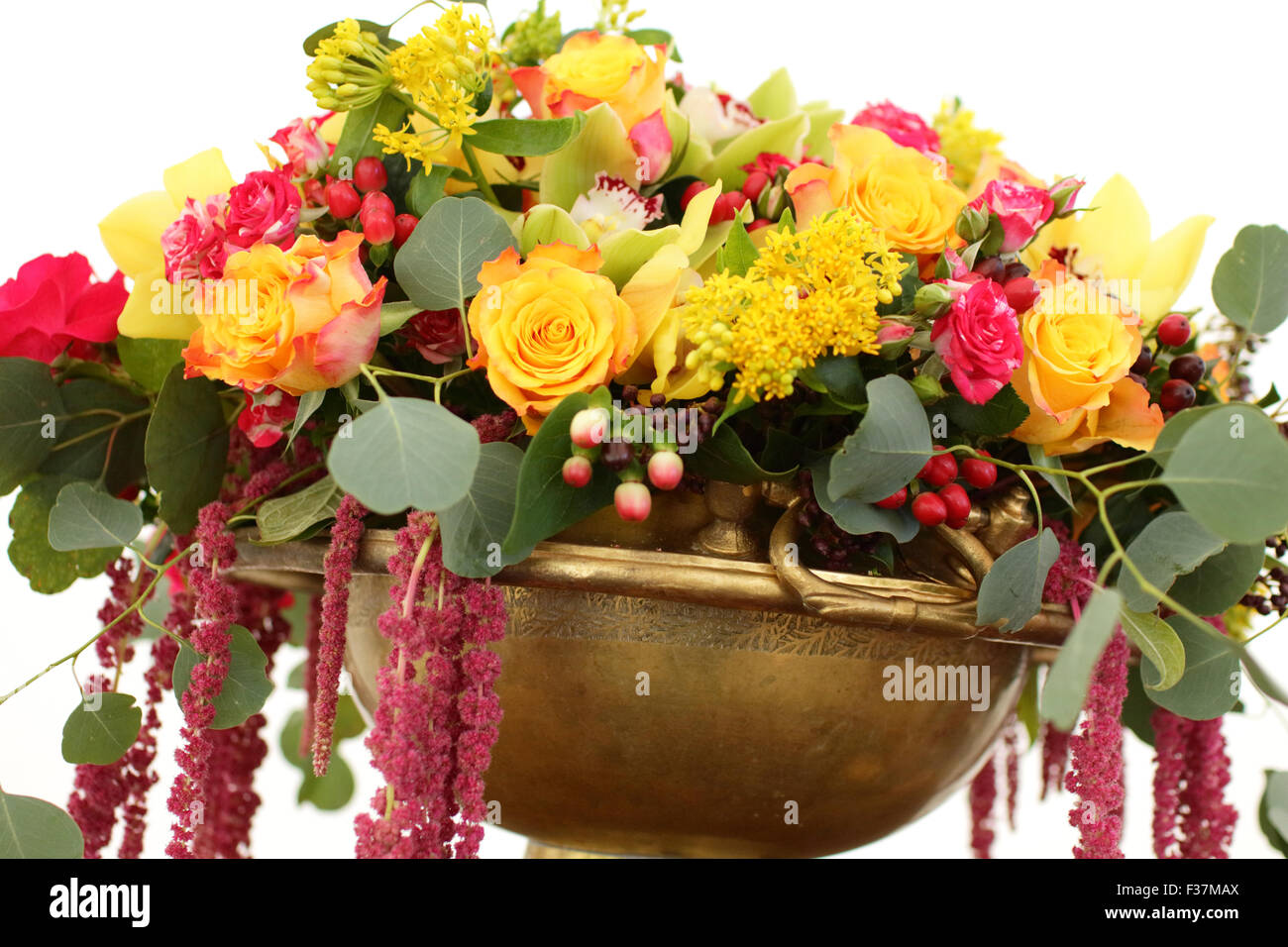 Yellow white hi-res stock photography and images - Alamy