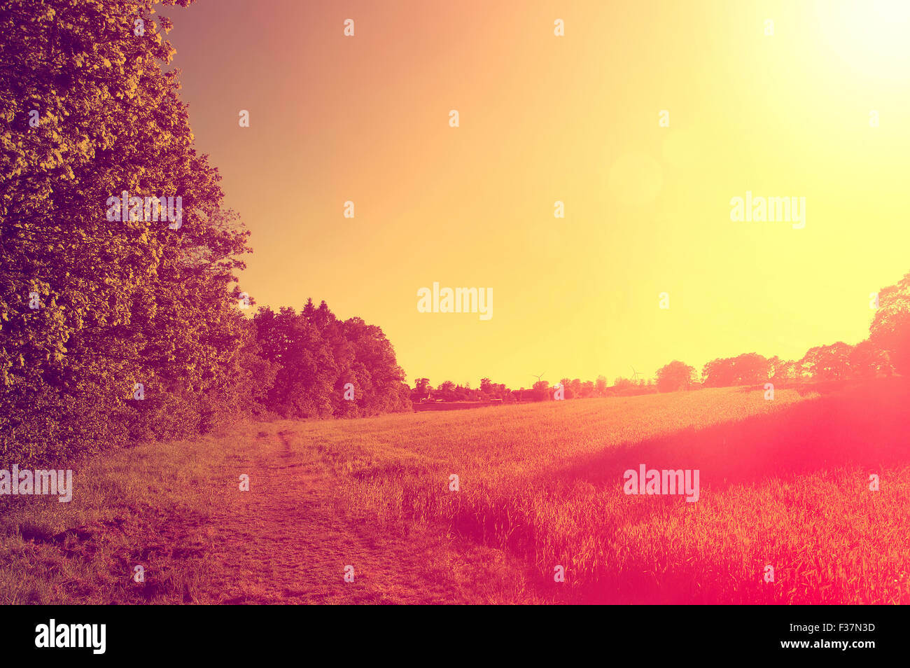 Abstract sunburst vintage summer background. Instagram vintage meadow ...