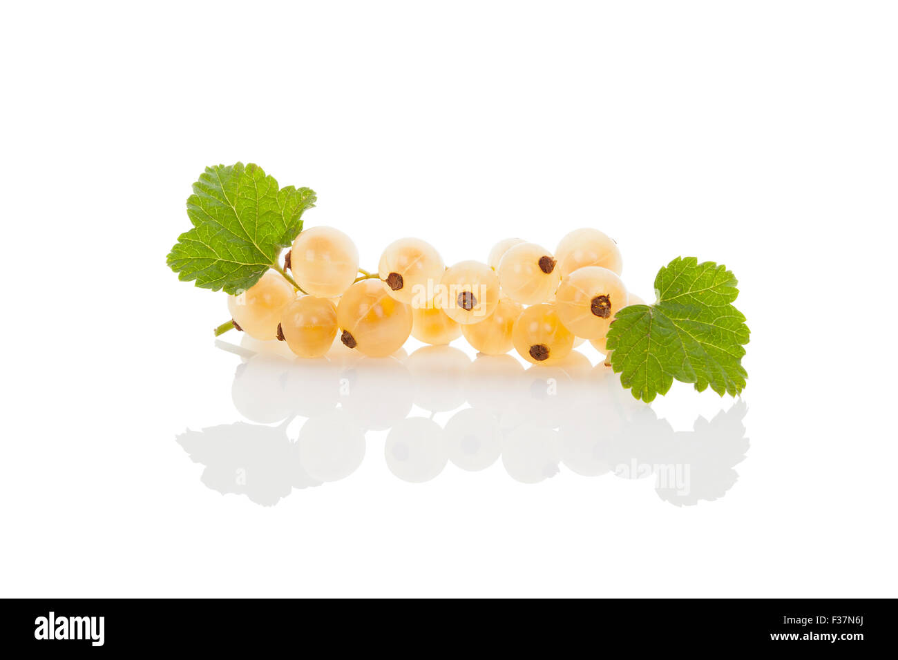 Delicious white currant isolated on white background. Healthy summer ...