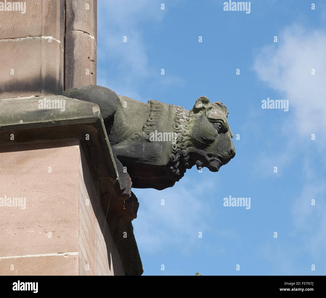 Lichfield Cathedral lion gargoyle Stock Photo - Alamy