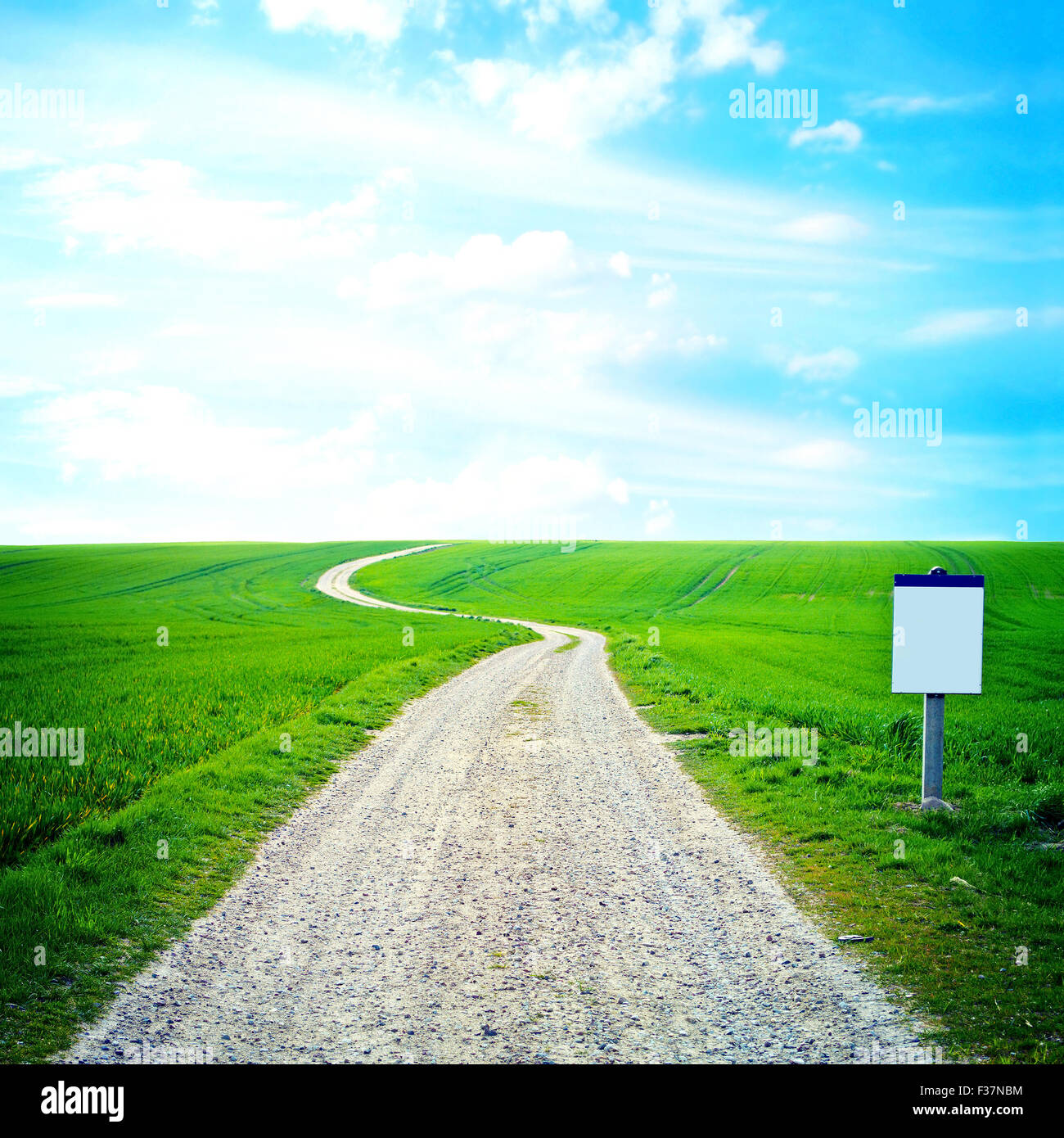 Green field and blue sky image. Country path on the green field at ...