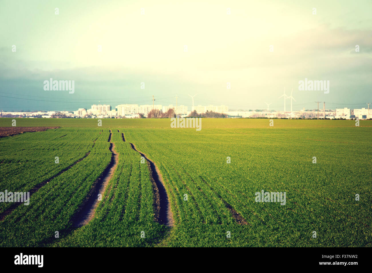 Stylized grass hi-res stock photography and images - Alamy