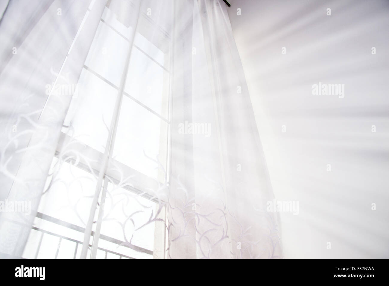 White light hi-res stock photography and images - Alamy