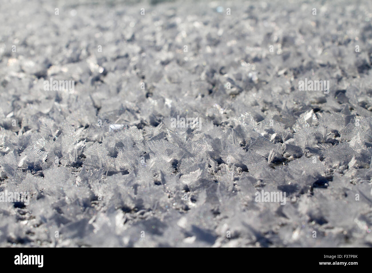 patterns on sea ice in a hard frost Stock Photo - Alamy