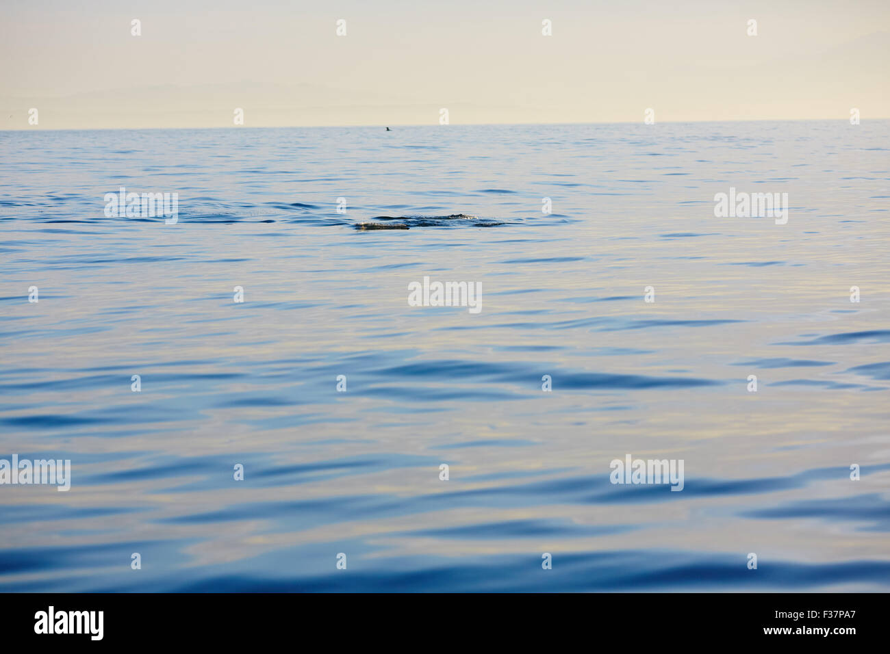 beautiful sea landscape in South Africa Stock Photo - Alamy