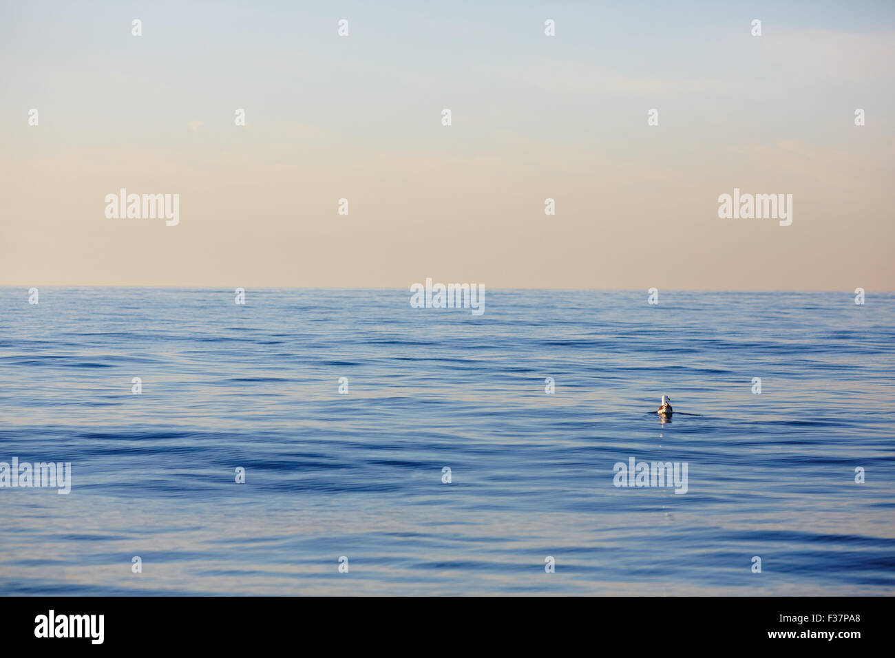 beautiful sea landscape in South Africa Stock Photo - Alamy