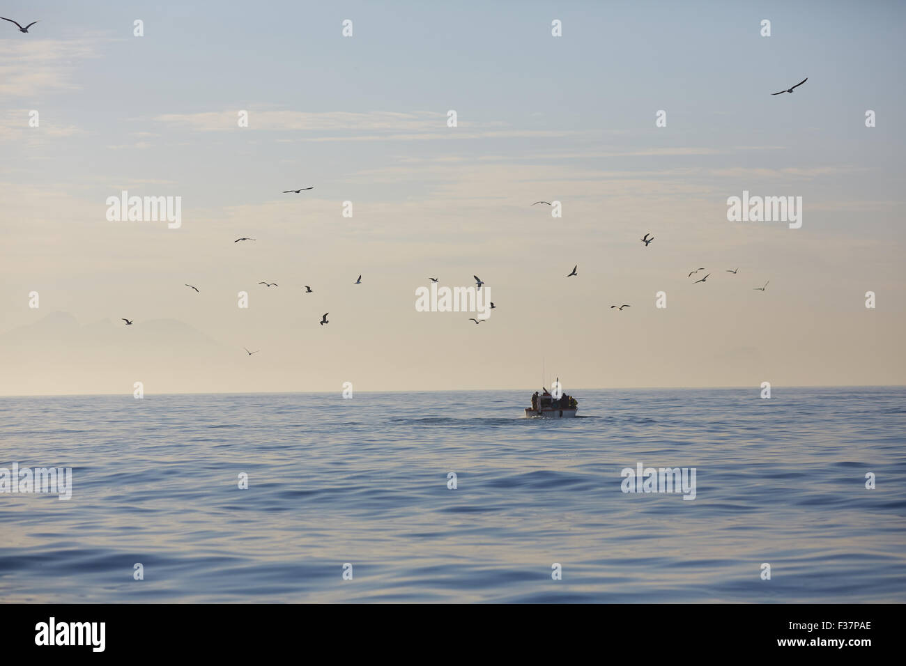 beautiful sea landscape in South Africa Stock Photo - Alamy