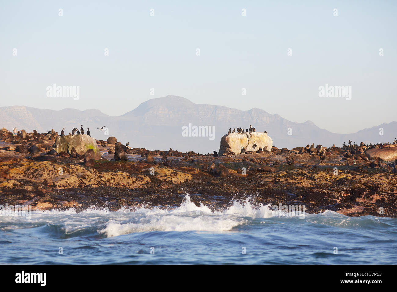 beautiful sea landscape in South Africa Stock Photo - Alamy