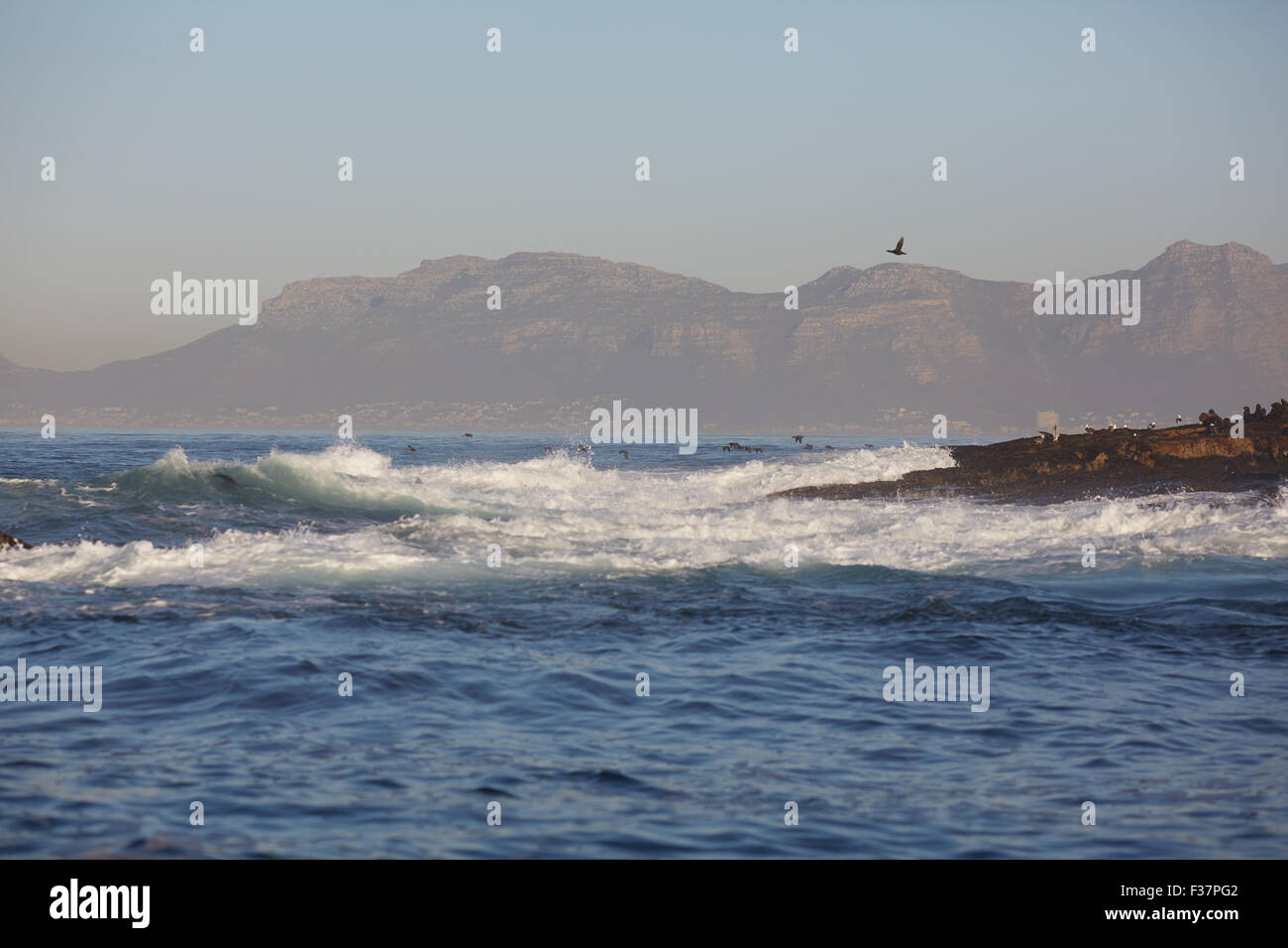 beautiful sea landscape in South Africa Stock Photo - Alamy
