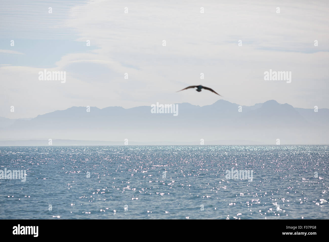 beautiful sea landscape in South Africa Stock Photo - Alamy