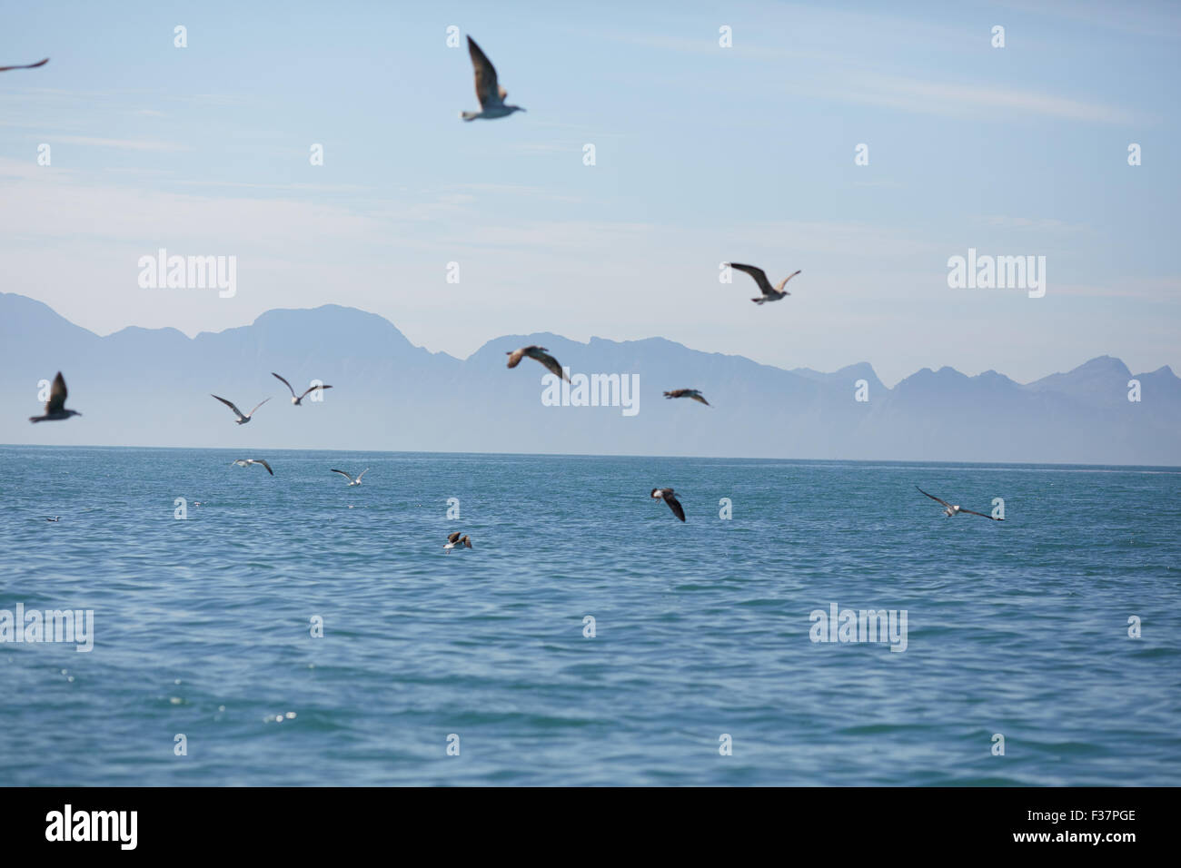 beautiful sea landscape in South Africa Stock Photo - Alamy