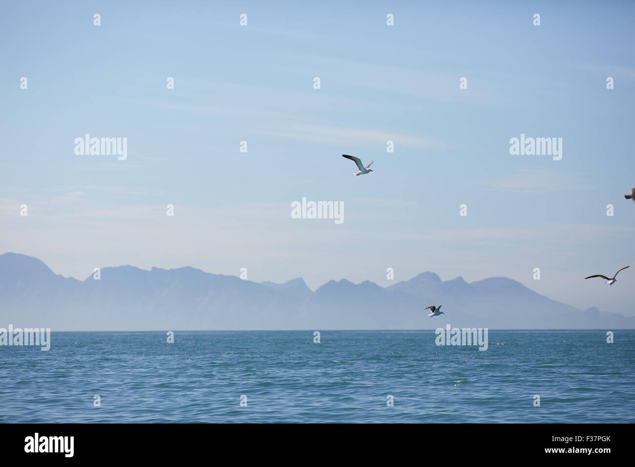 beautiful sea landscape in South Africa Stock Photo - Alamy