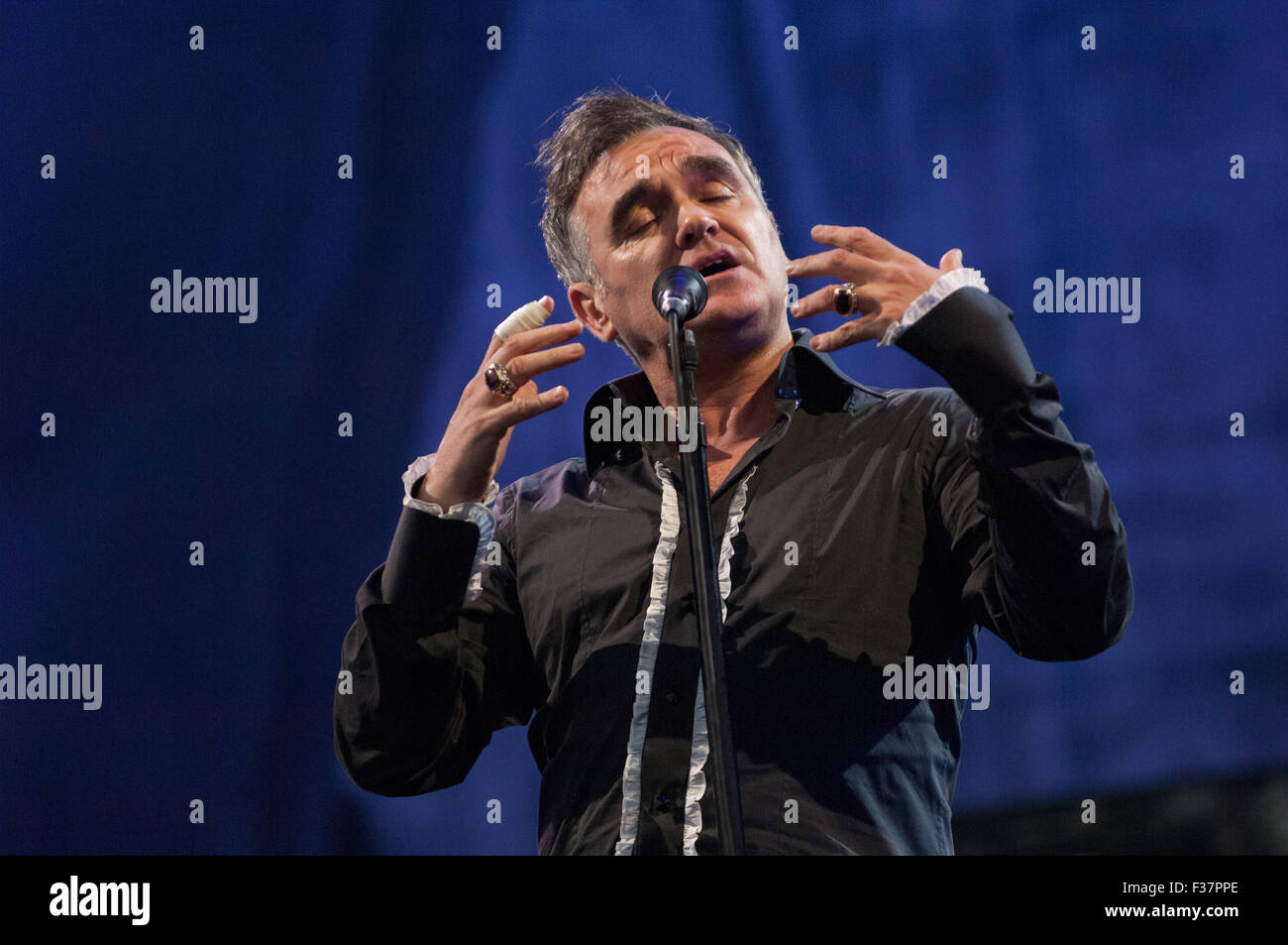 Morrissey hi-res stock photography and images - Alamy