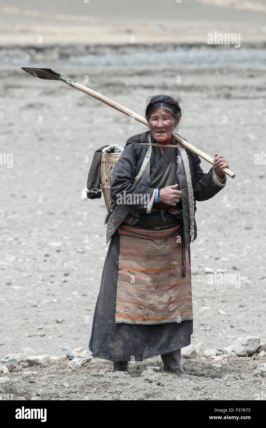 Tibetan woman farming in crop fields in Tibet Stock Photo - Alamy