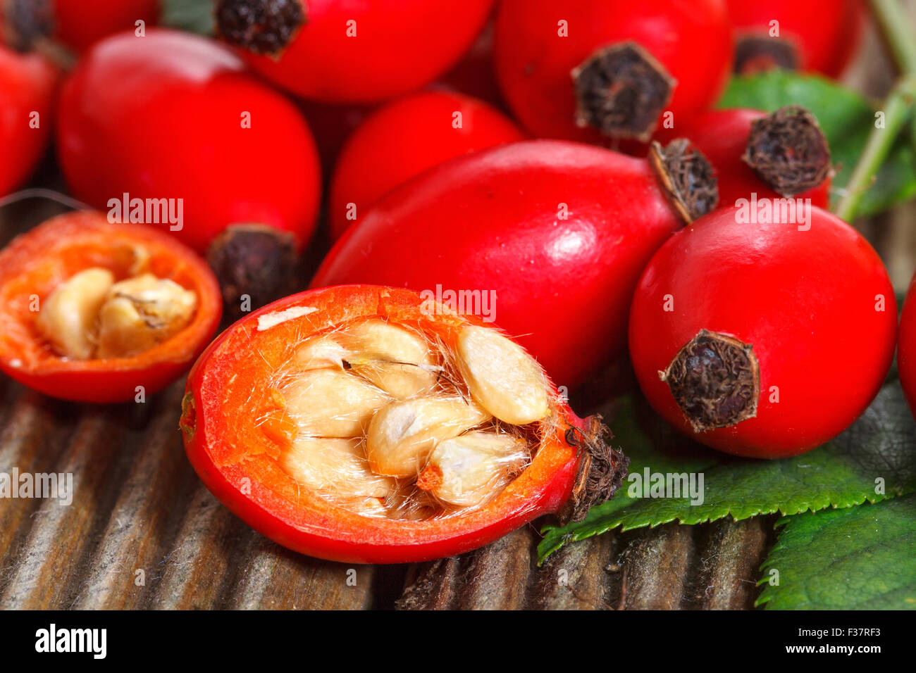 Seeds and rosehip fruit closeup Stock Photo - Alamy