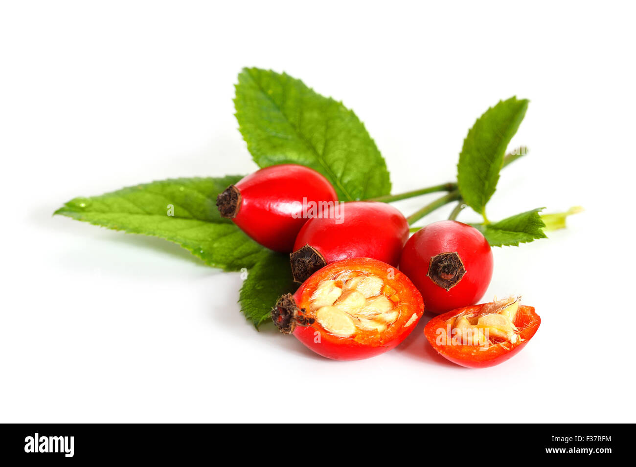 The branch of rose hips isolated on a white background Stock Photo - Alamy