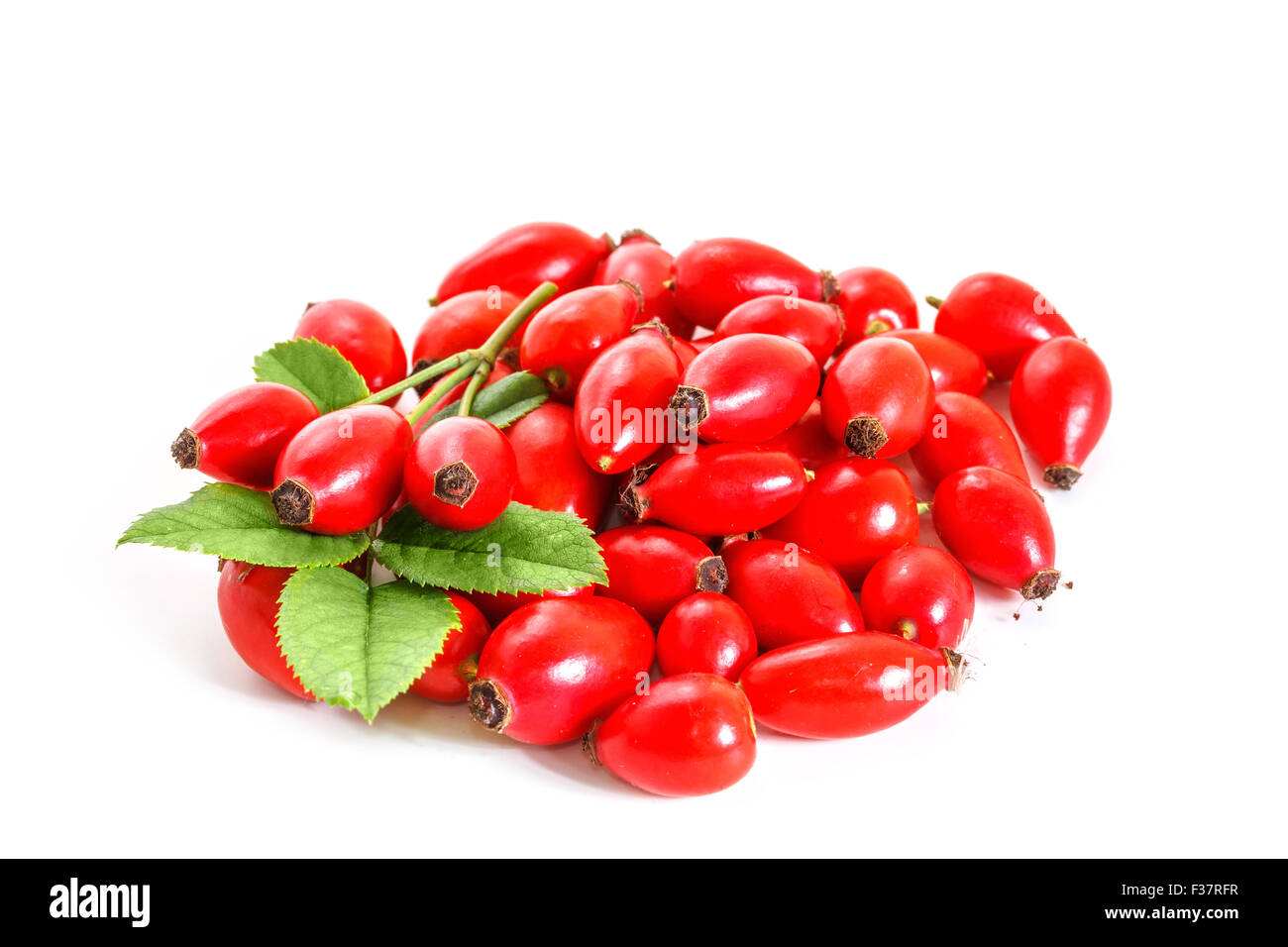 Pile of rose hips hi-res stock photography and images - Alamy