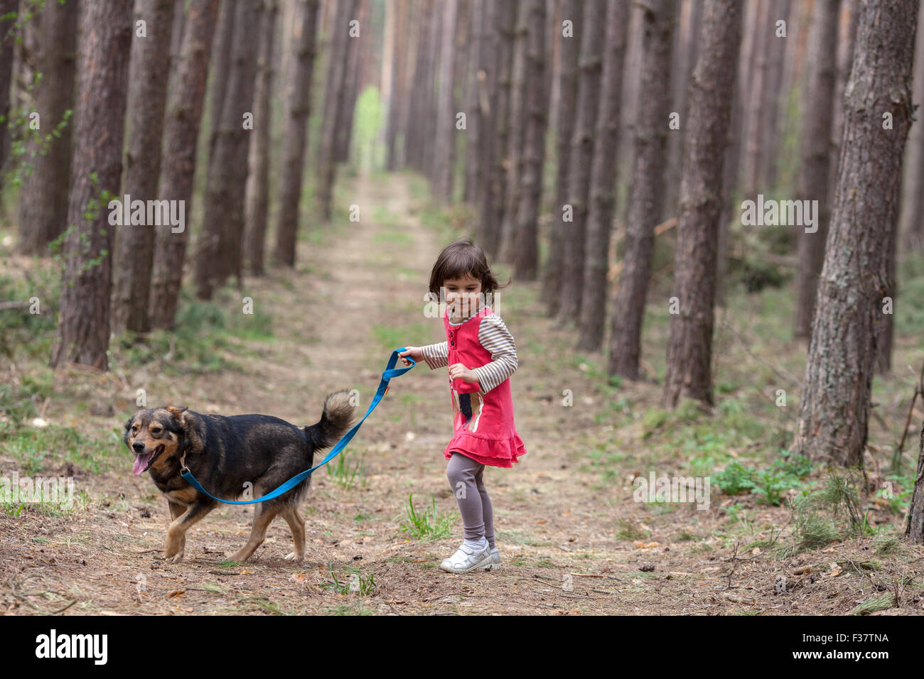 Little girl walking with dog in the forest Stock Photo - Alamy