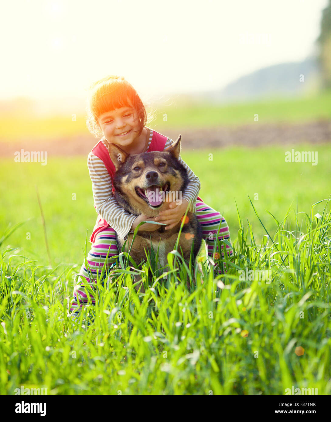 Happy little girl riding her dog on the field Stock Photo - Alamy