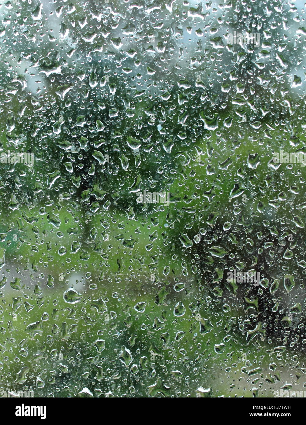 Drops of rain on glass surface, rain drop dripping down, green park in ...