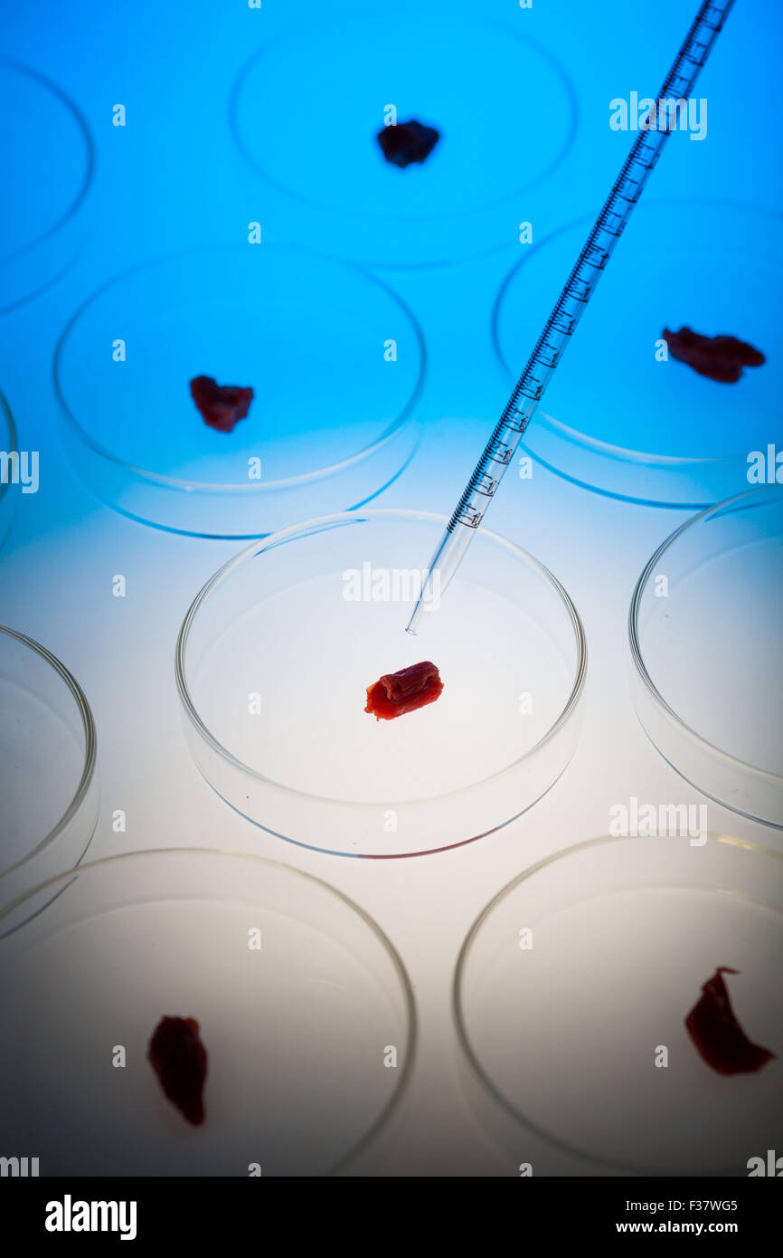 Cultured meat hi-res stock photography and images - Alamy