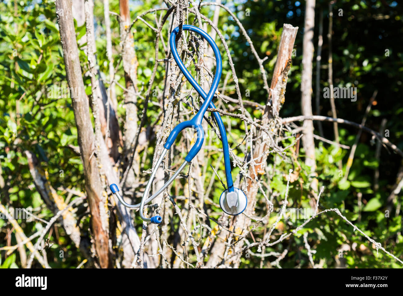 Stethoscope and landscape Stock Photo - Alamy