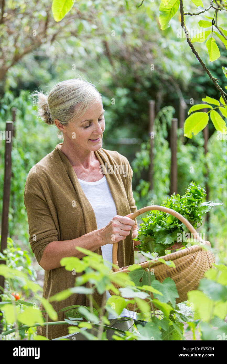Woman gardening in her vegetable garden Stock Photo - Alamy